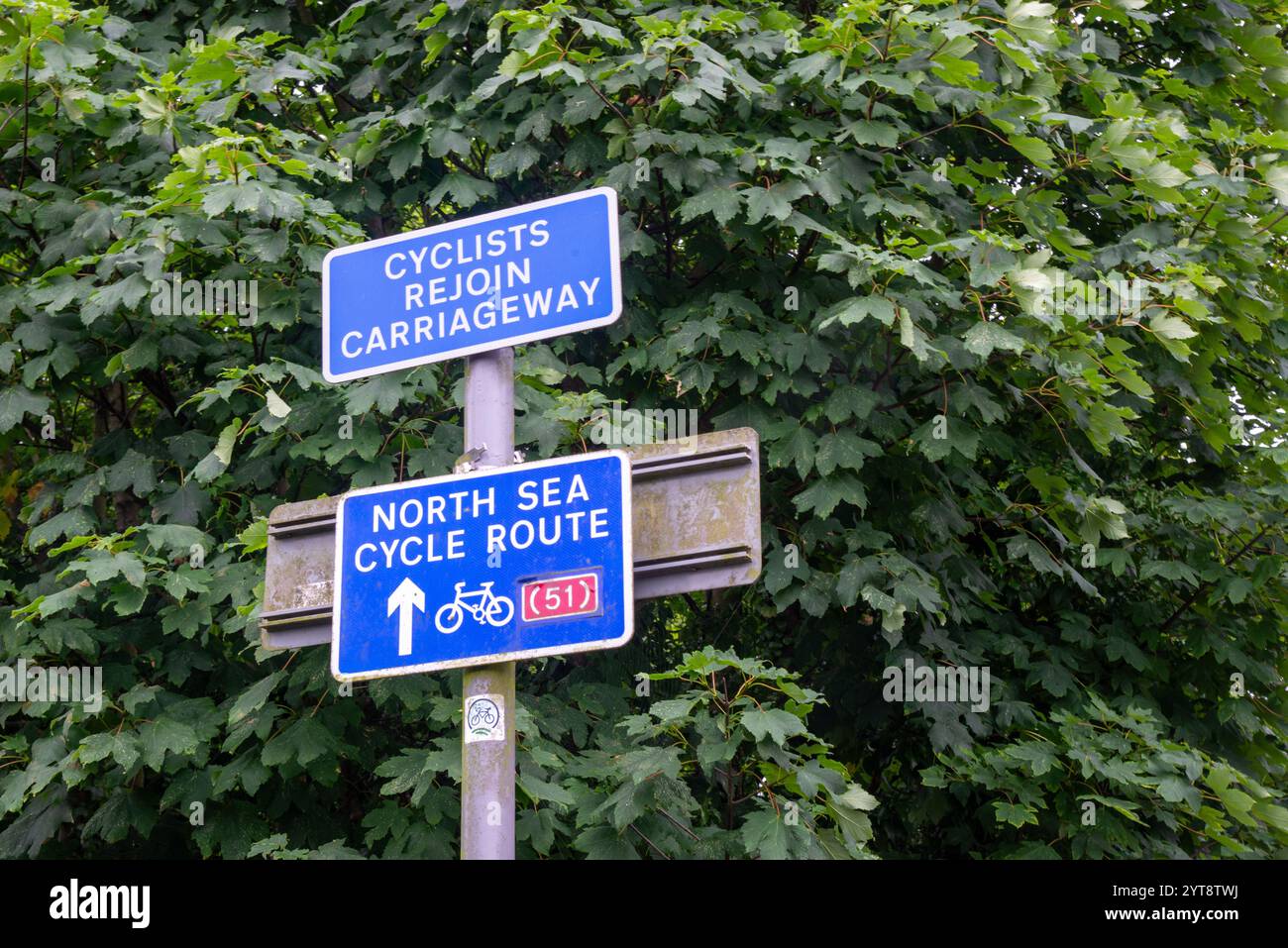 road signs for cyclist at the North Sea Cycle route, England Stock ...