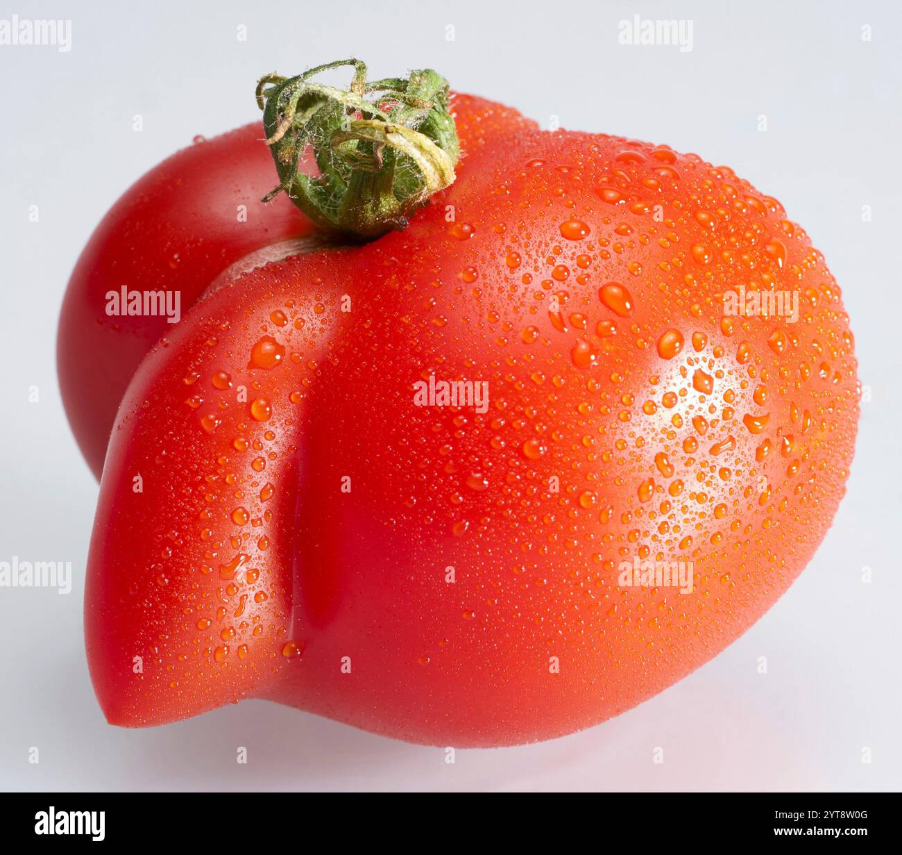 Strange shaped red wet tomato in light gray back Stock Photo - Alamy