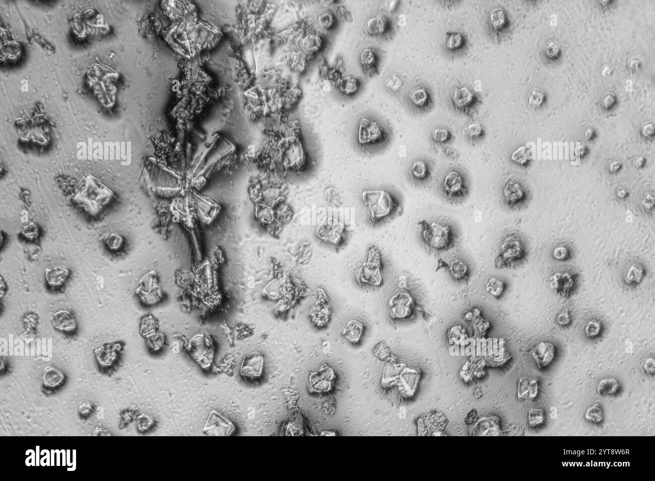 Microscopic shot showing some microcrystals in dried dyestuff Stock ...