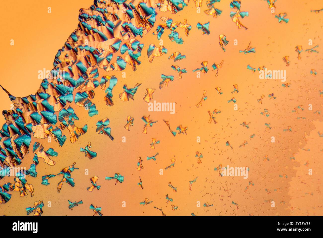 Microscopic shot showing colorful microcrystals in polarized light ...
