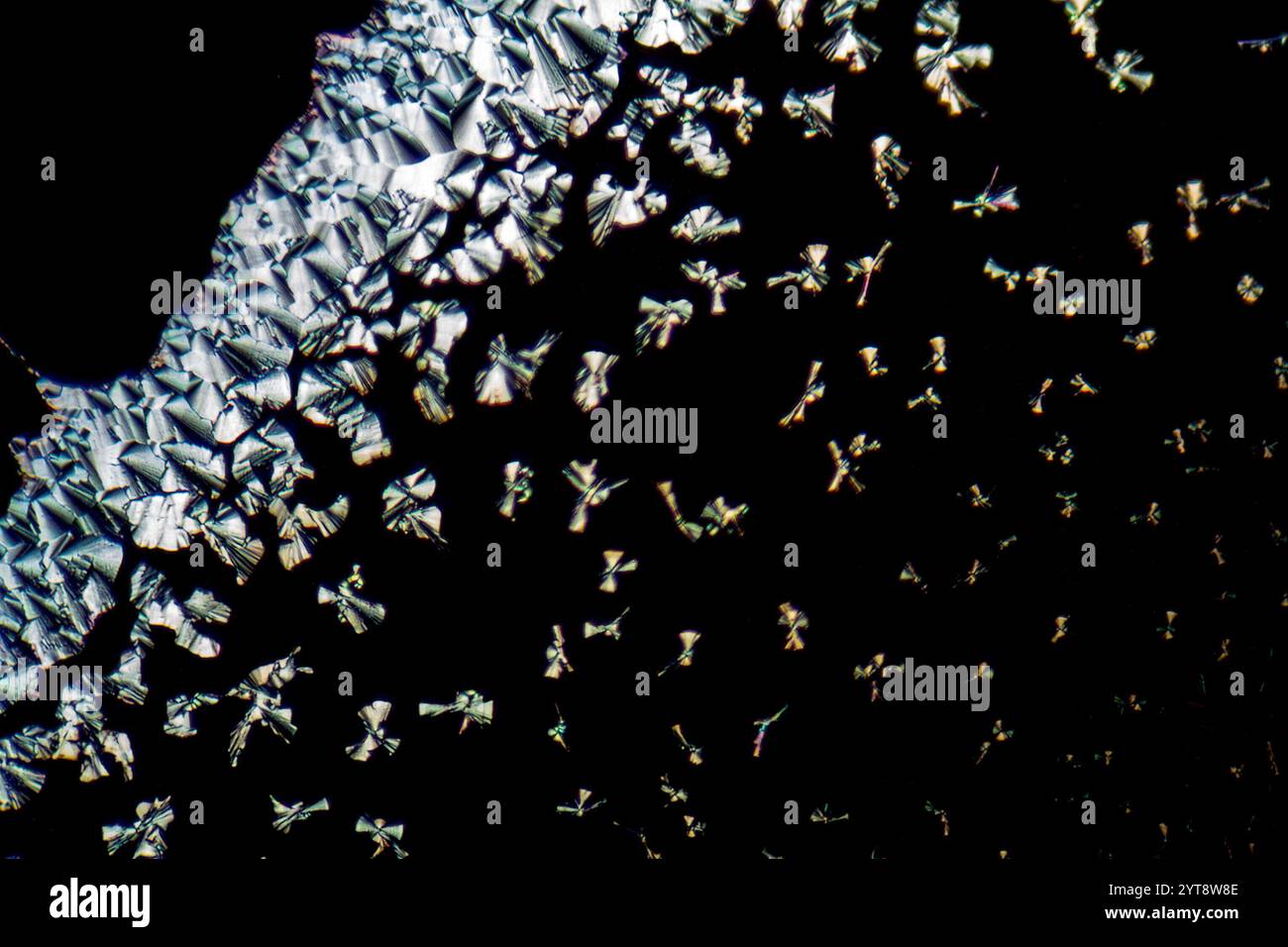 Microscopic shot showing colorful microcrystals in polarized light ...