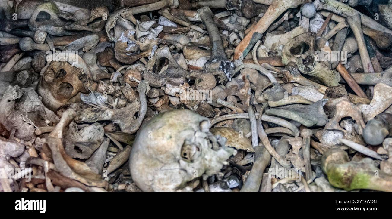 Lots of human bones from fallen soldiers seen at the Douaumont Ossuary ...