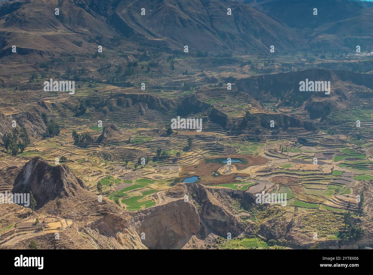 Colca canyon in Peru. Rock formations and green terraces in the Andes ...