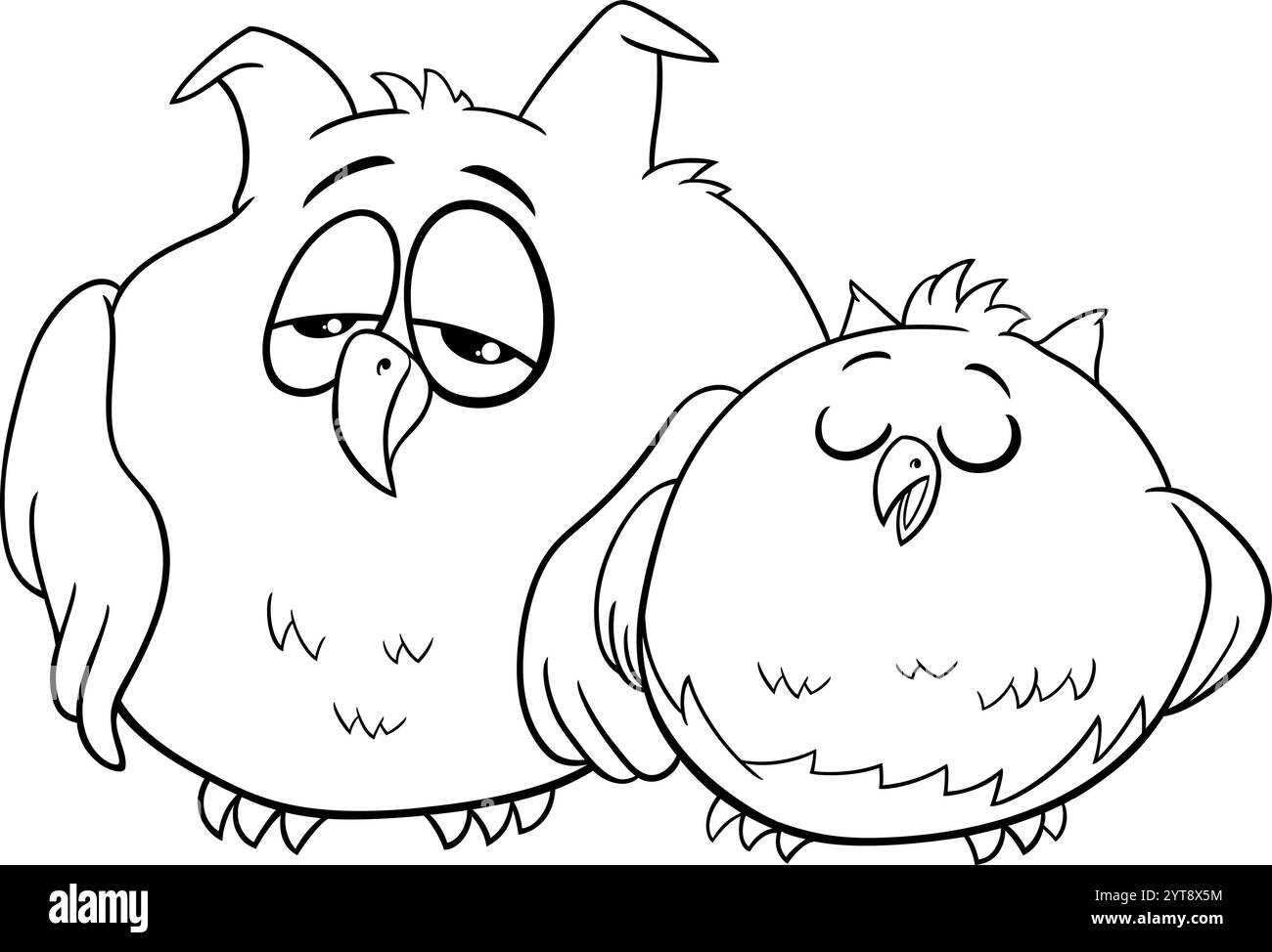 Two bird species Stock Vector Images - Alamy