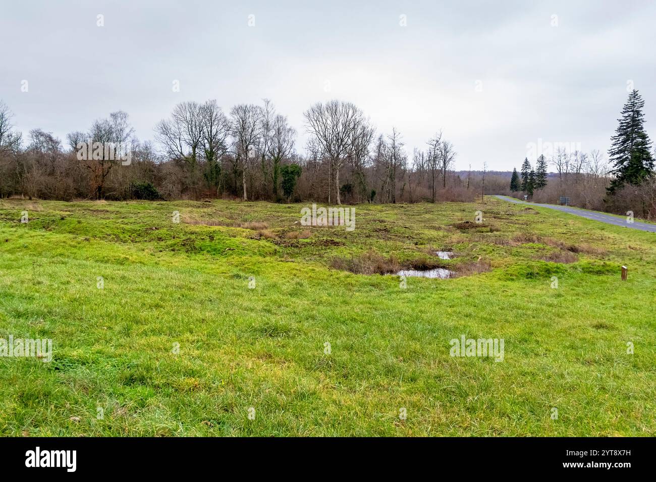 Scenery showing a historic battlefield around Verdun, fought from 21 ...