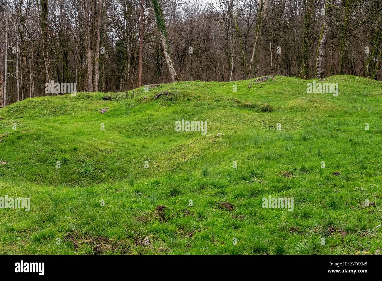 Scenery showing a historic battlefield around Verdun, fought from 21 ...