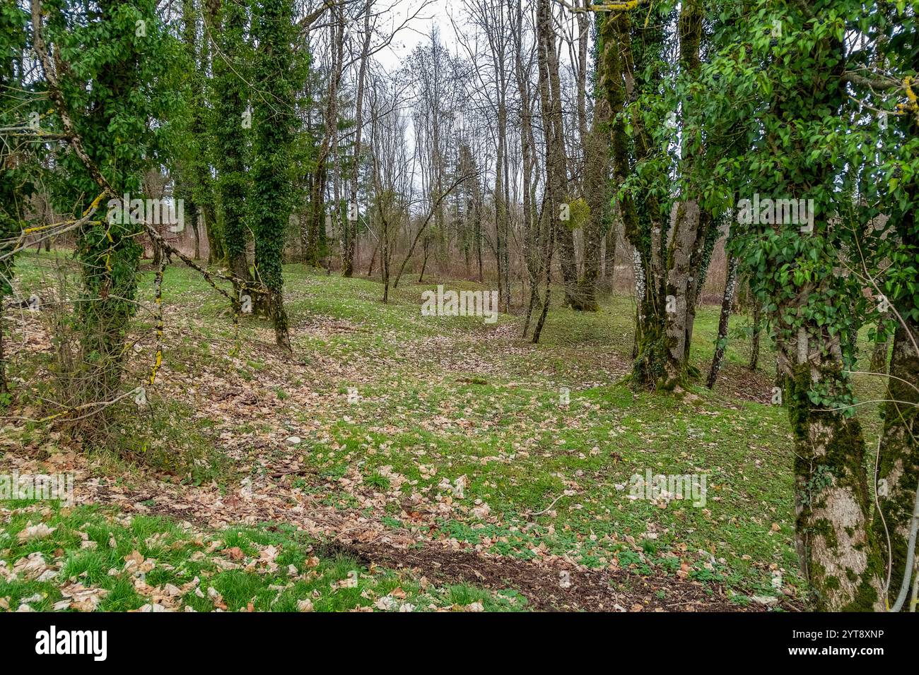 Scenery showing a historic battlefield around Verdun, fought from 21 ...