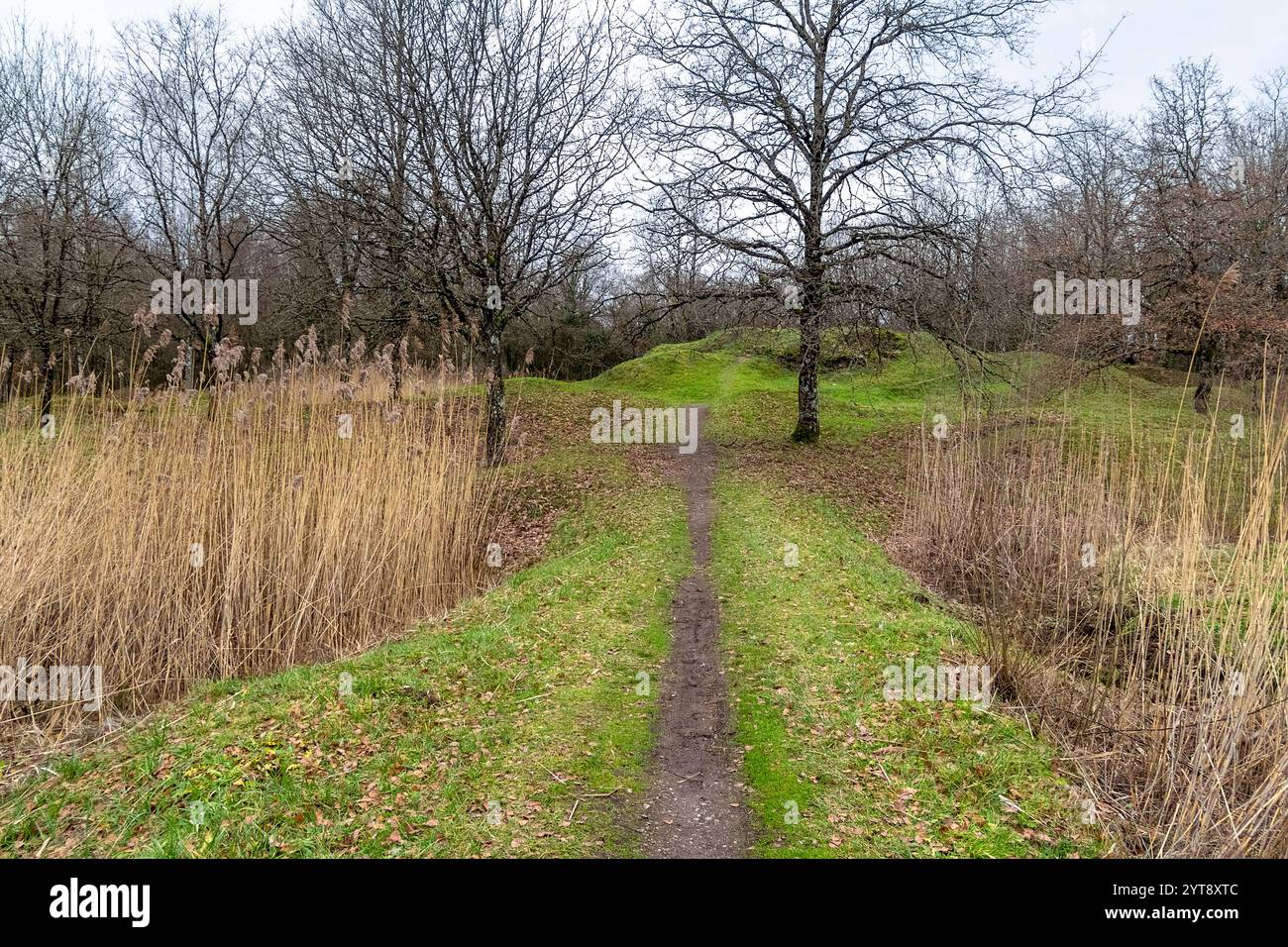Scenery showing a historic battlefield around Verdun, fought from 21 ...