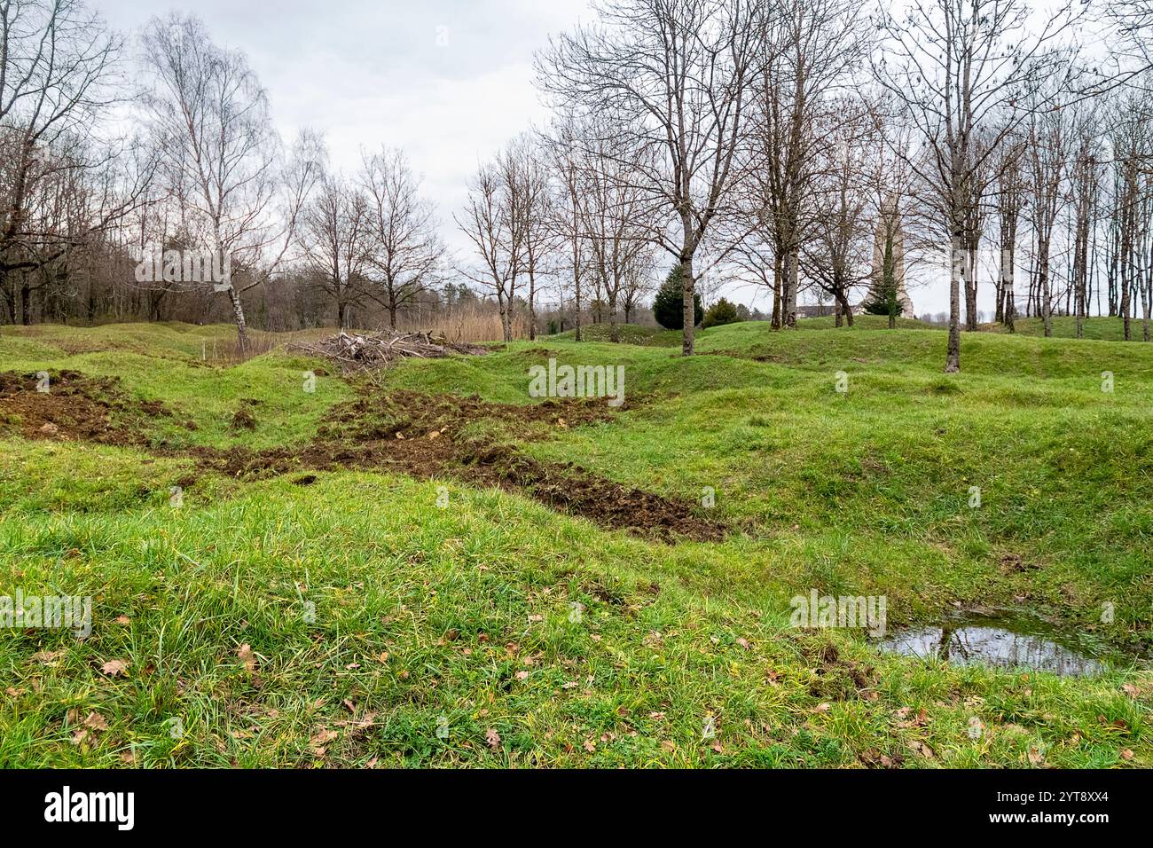 Scenery showing a historic battlefield around Verdun, fought from 21 ...