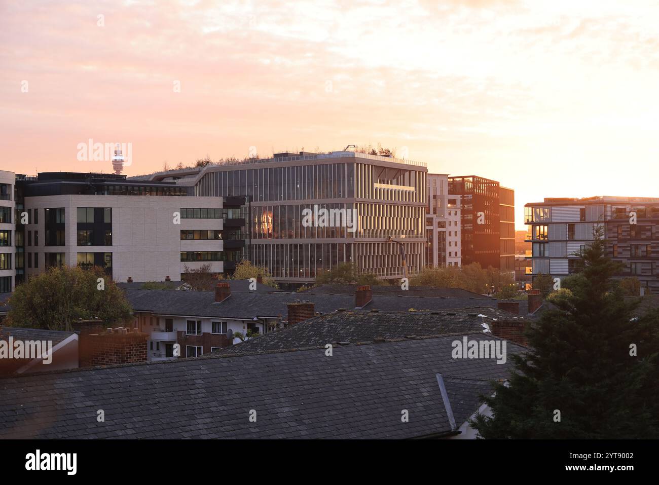 The new Google landscaper at Kings Cross, north London, UK Stock Photo ...