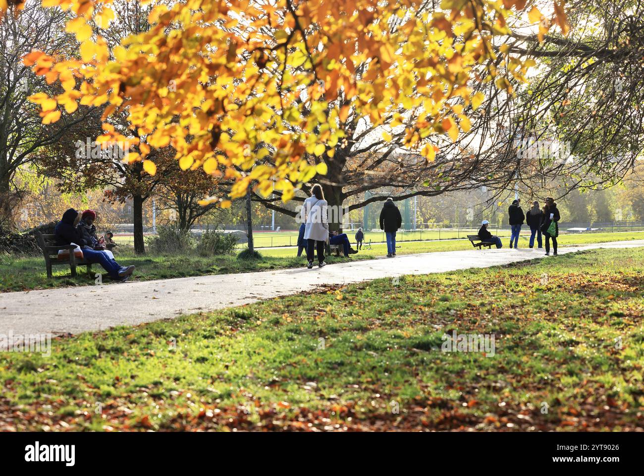Autumn in hampstead heath hi-res stock photography and images - Alamy