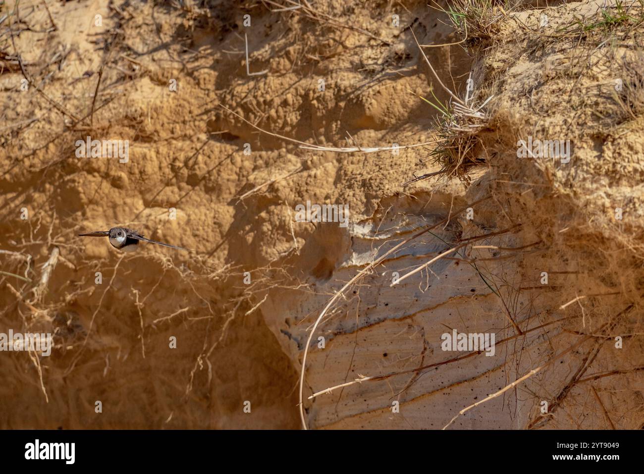 Approach steep coast island hi-res stock photography and images - Alamy