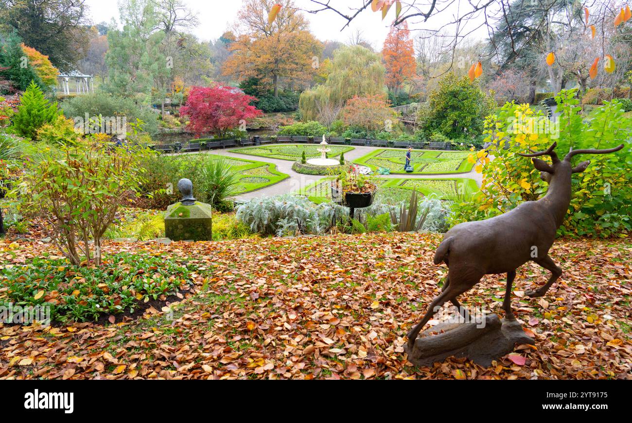 Autumn Colours in the Dingle in Quarry Park, Shrewsbury. On the left is ...