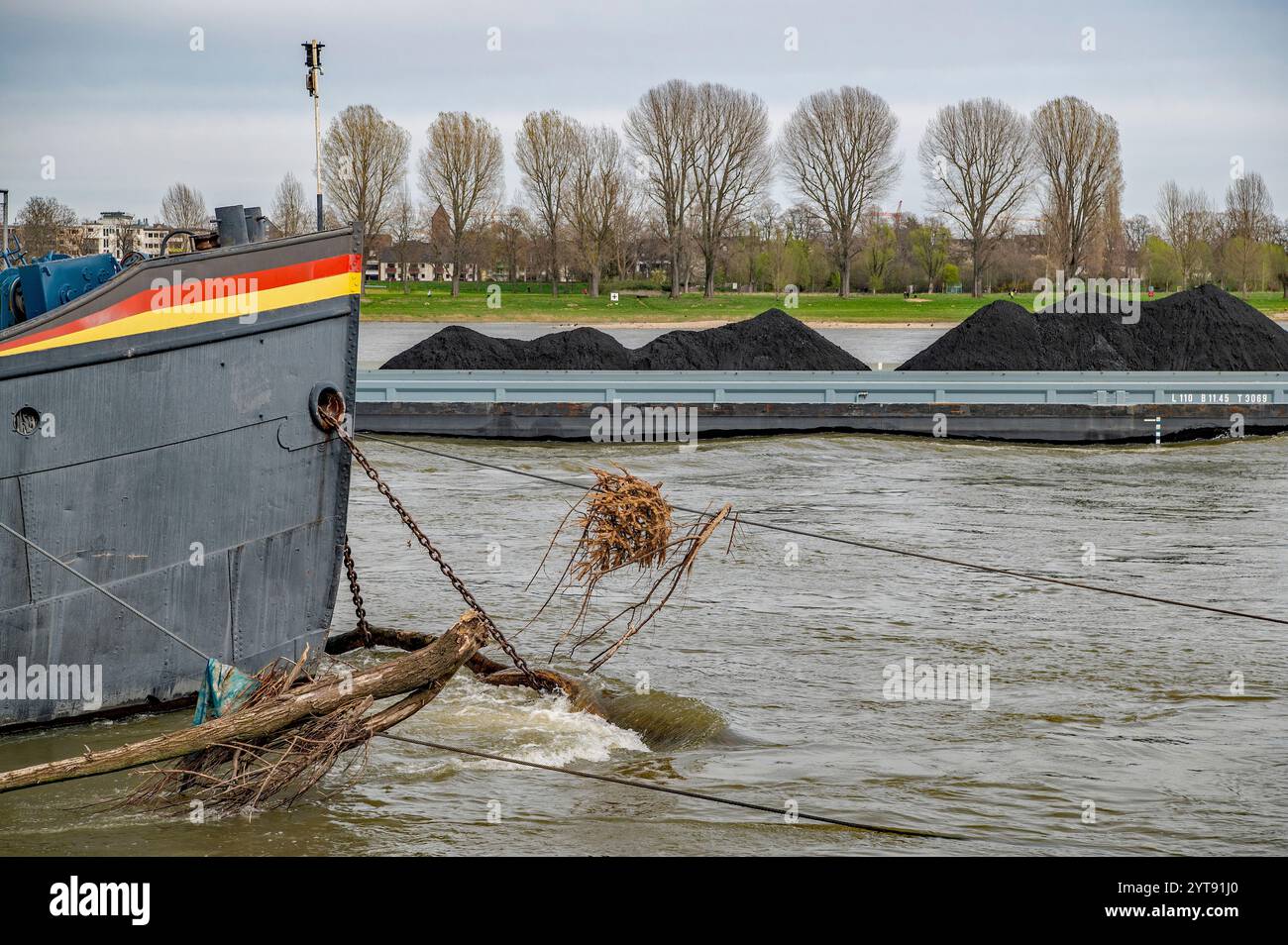 Flotsam on the rhine hi-res stock photography and images - Alamy