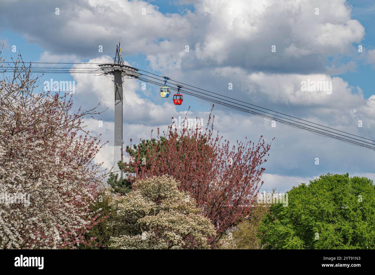 Cable car over the Rhine Stock Photo - Alamy