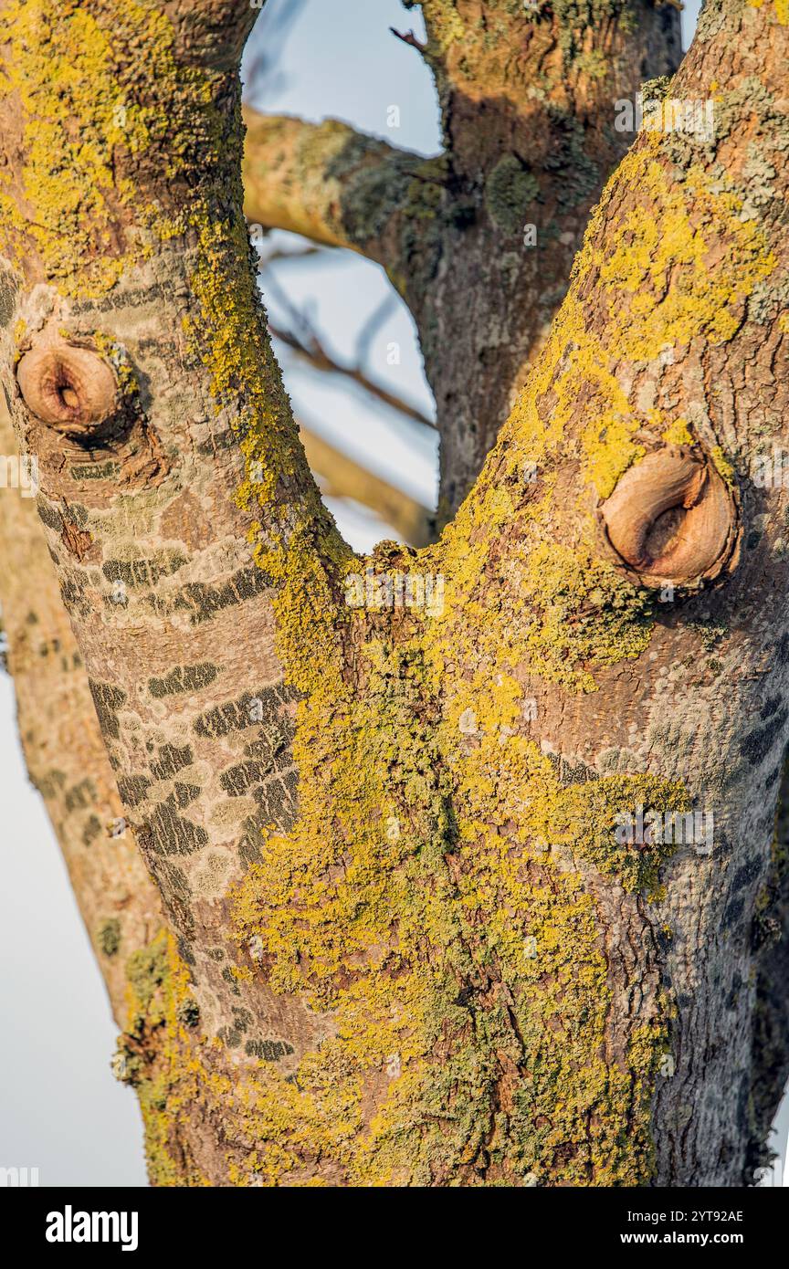 Very interesting to the eye hi-res stock photography and images - Alamy