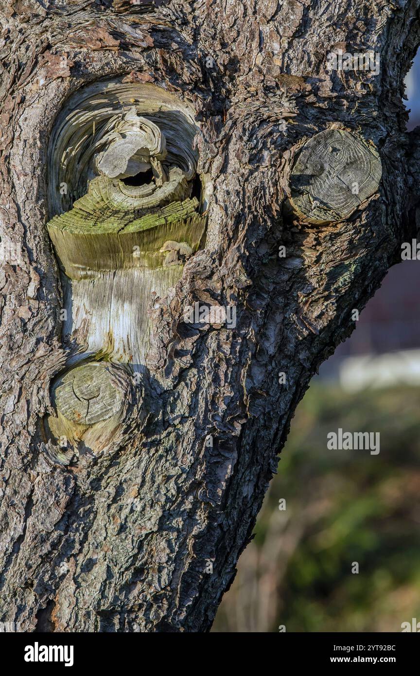 Interesting structures hi-res stock photography and images - Alamy