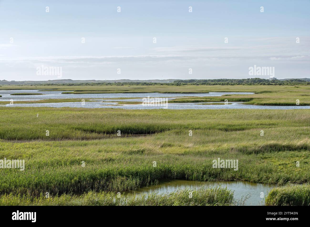 Nature reserve at the Rantum basin Stock Photo - Alamy