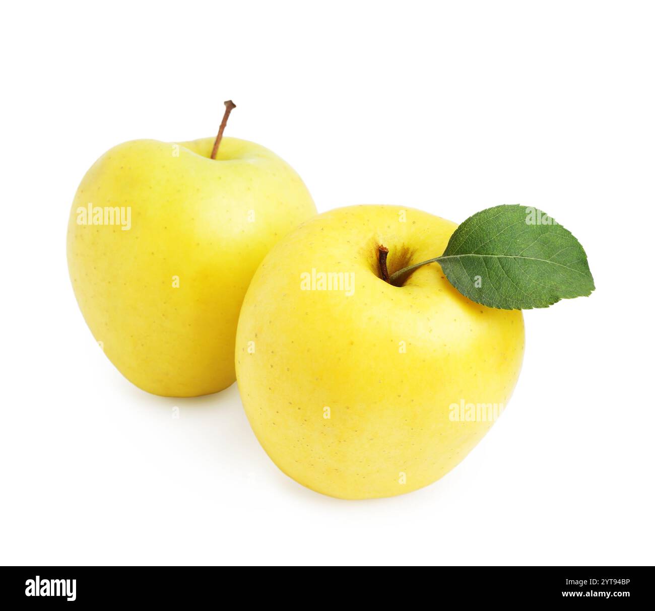 Fresh juicy yellow apples isolated on white Stock Photo - Alamy