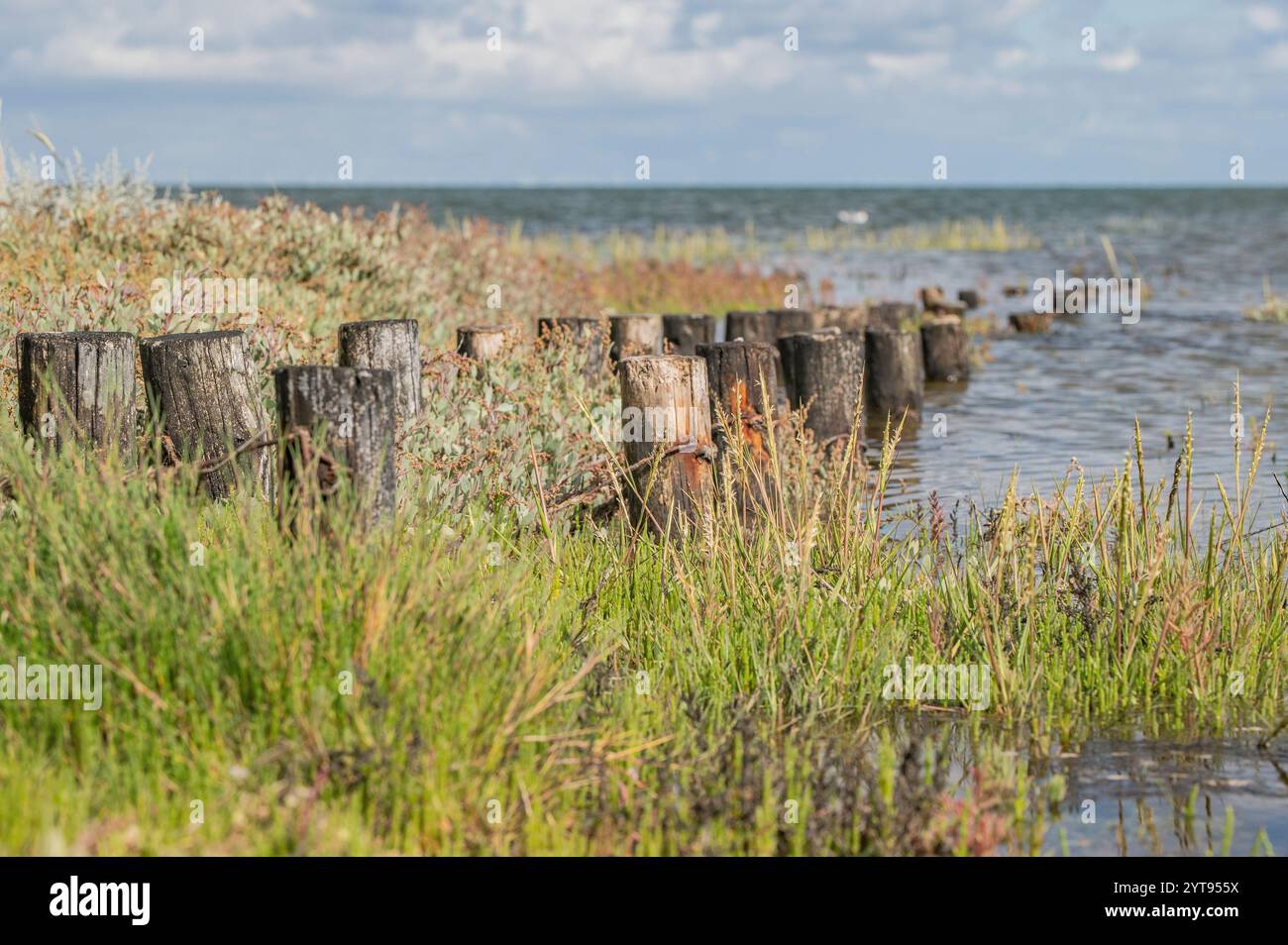 Old lighthouse on the Wadden Sea Stock Photo - Alamy