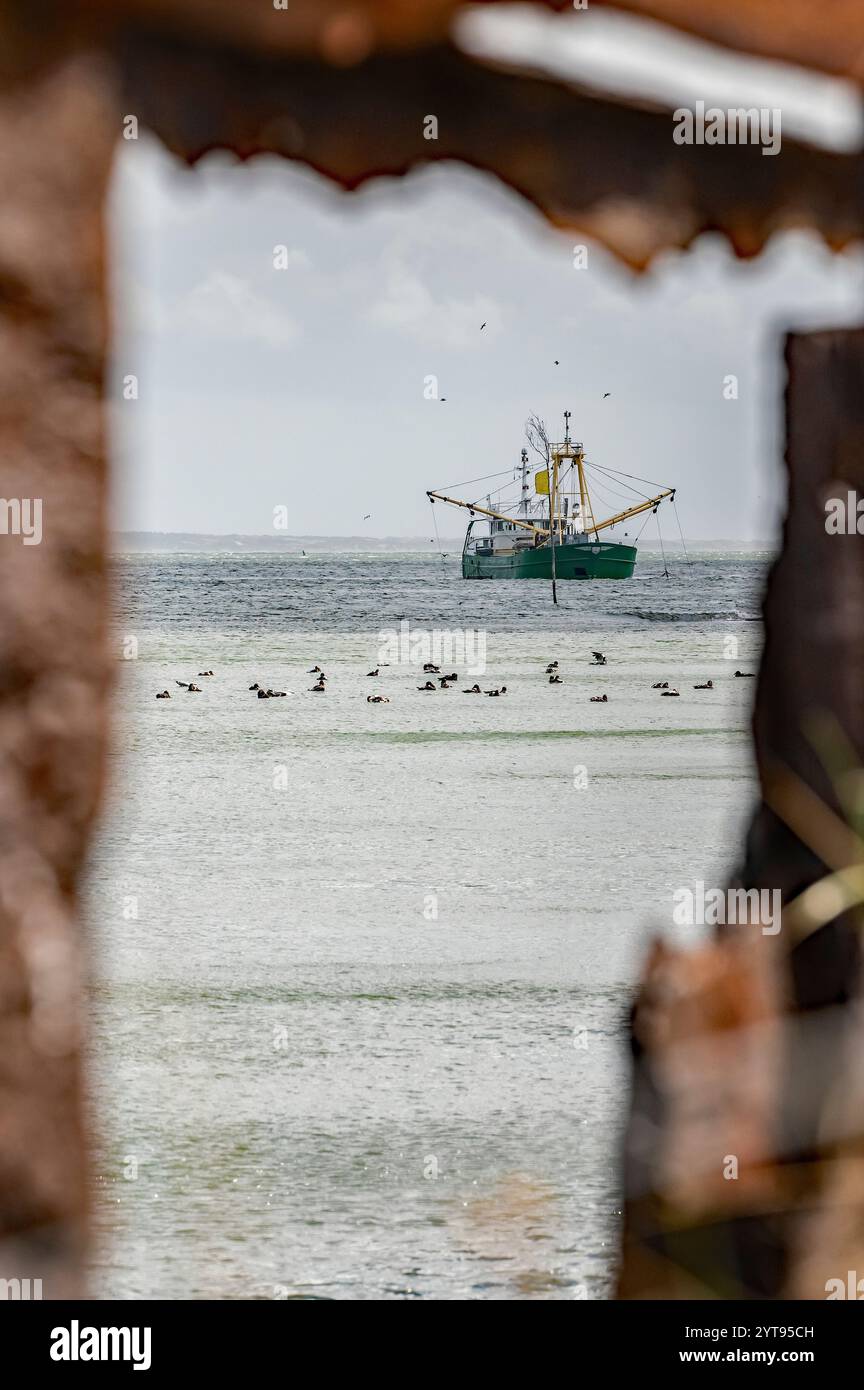 Catch mussels hi-res stock photography and images - Alamy
