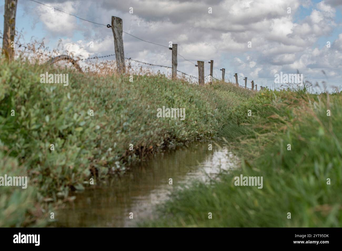 Field ditch at the salt marshes Stock Photo - Alamy