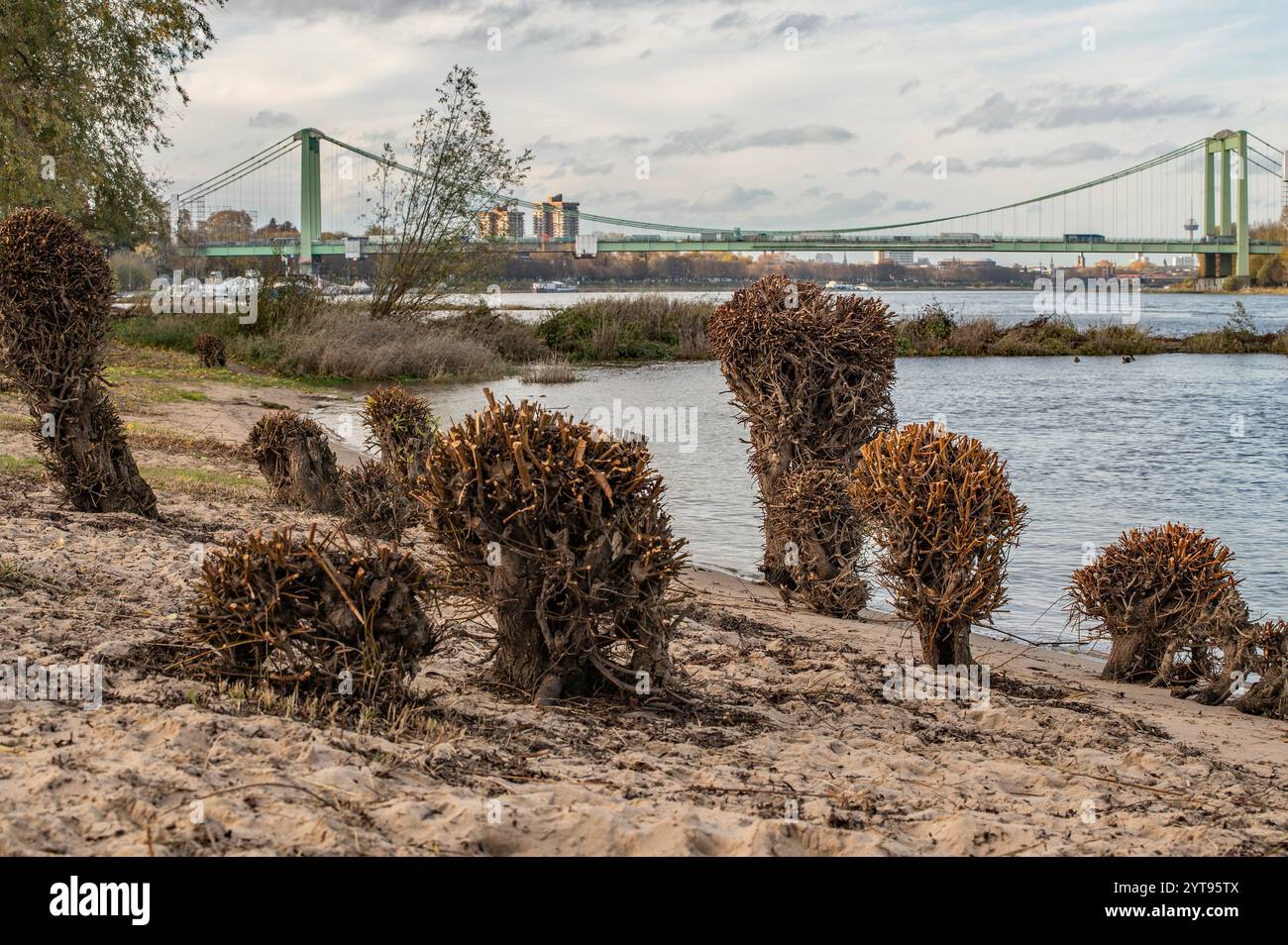 District rodenkirchen hi-res stock photography and images - Alamy