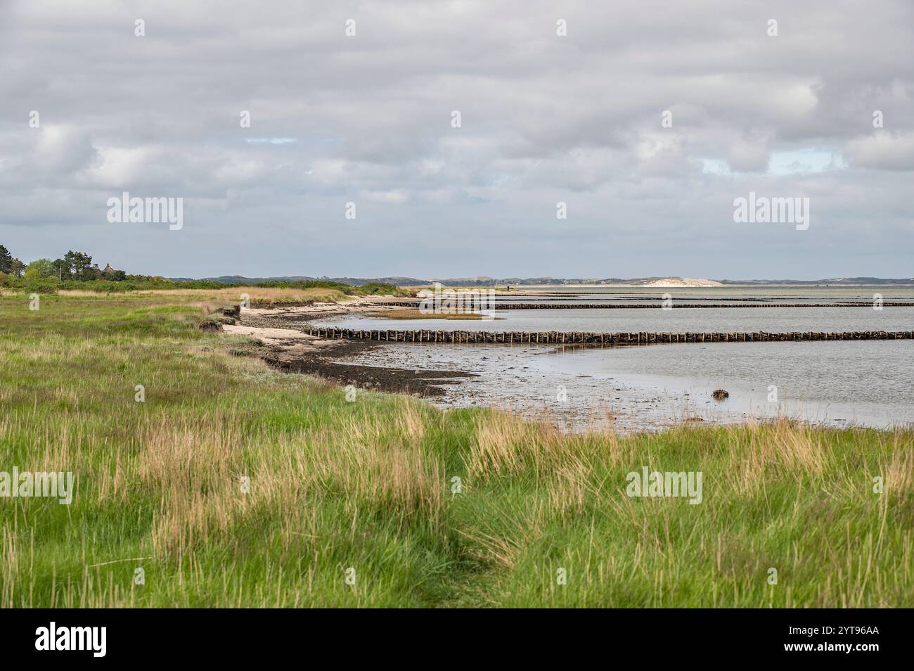 Sea belts hi-res stock photography and images - Alamy