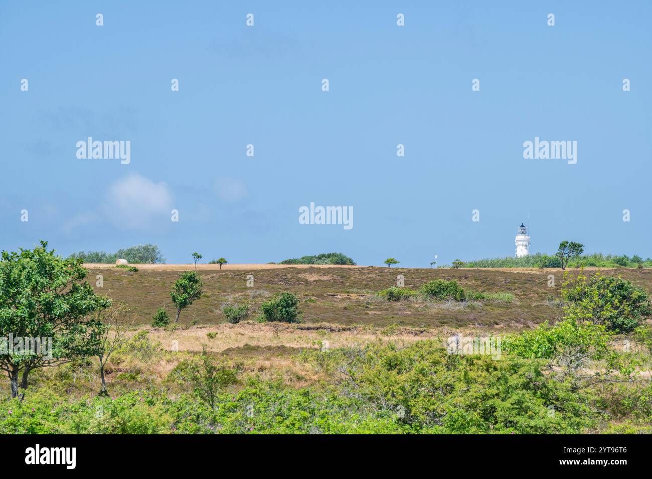 Hiking trail through the Braderuper Heide nature reserve Stock Photo ...