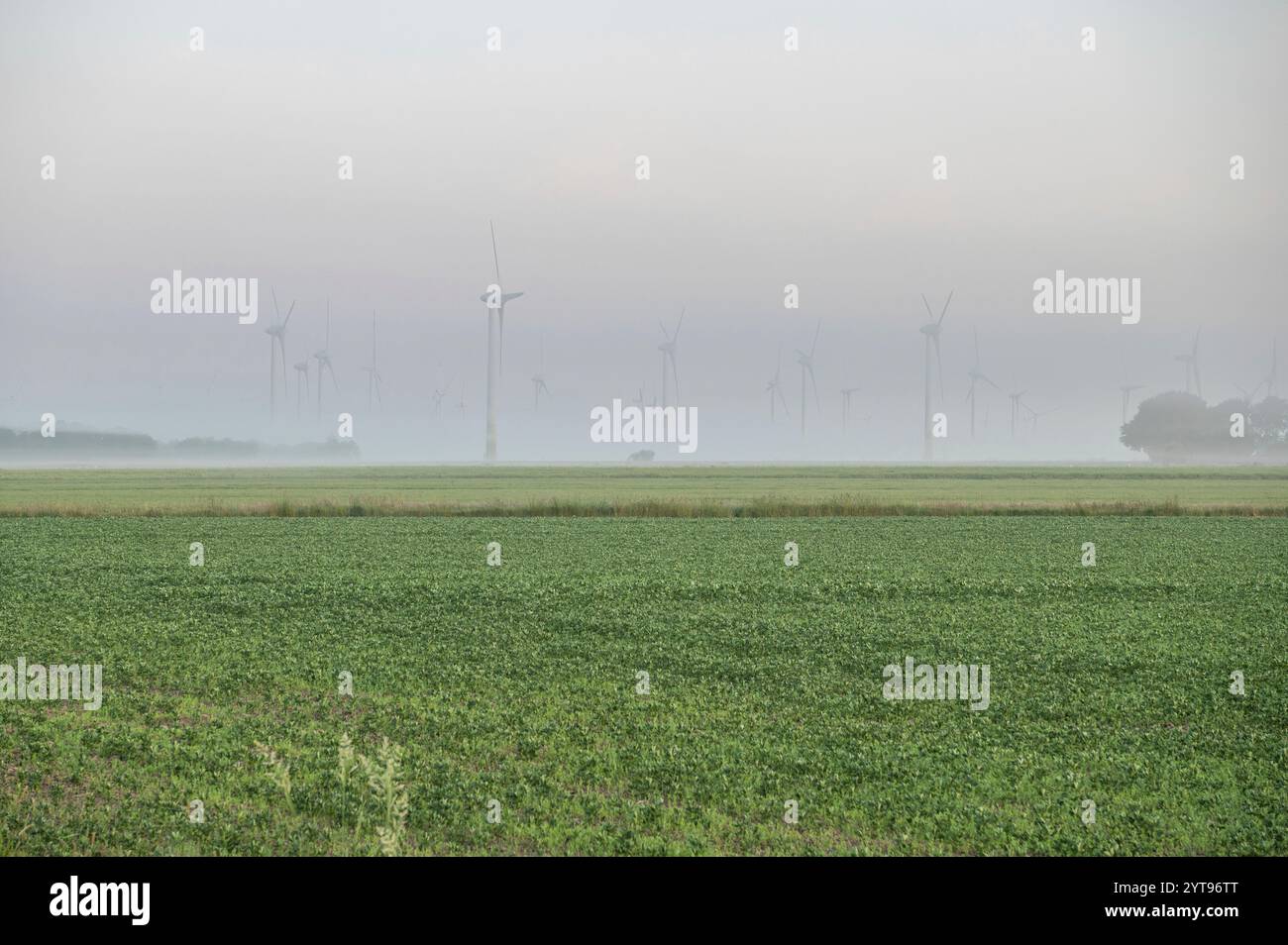Wind turbines in early hi-res stock photography and images - Alamy
