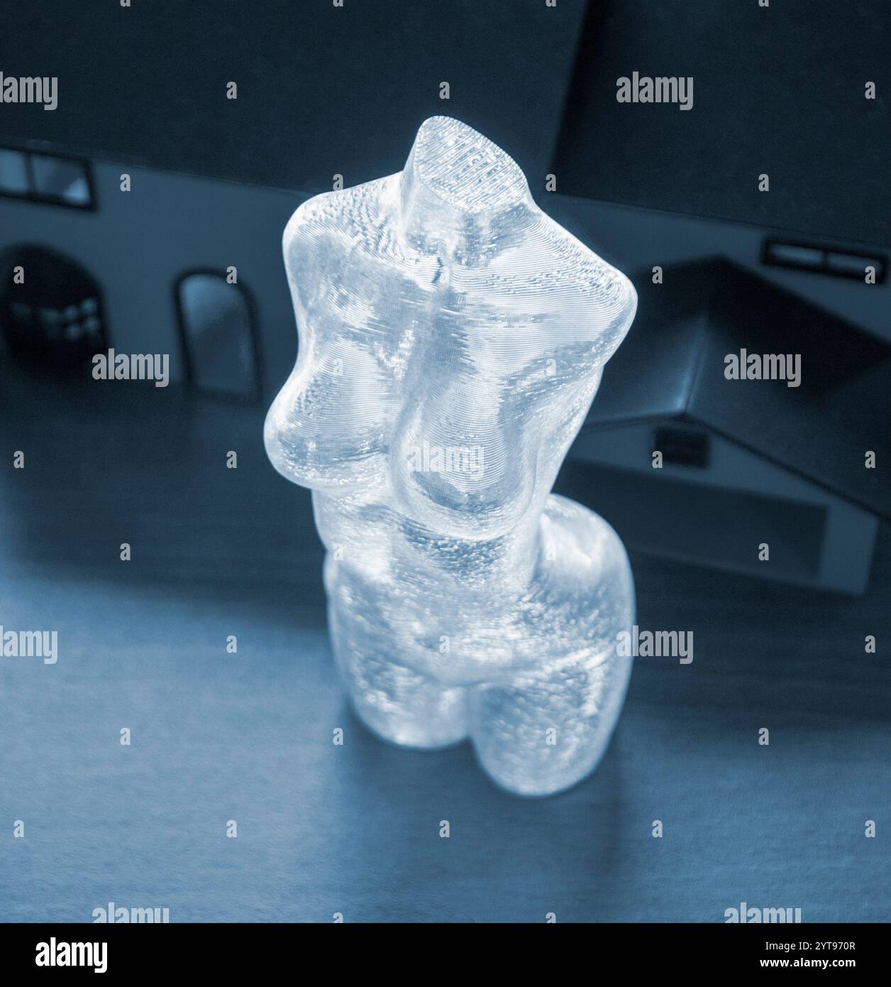 Model printed on 3D printer. Art object female body printed on a 3D ...