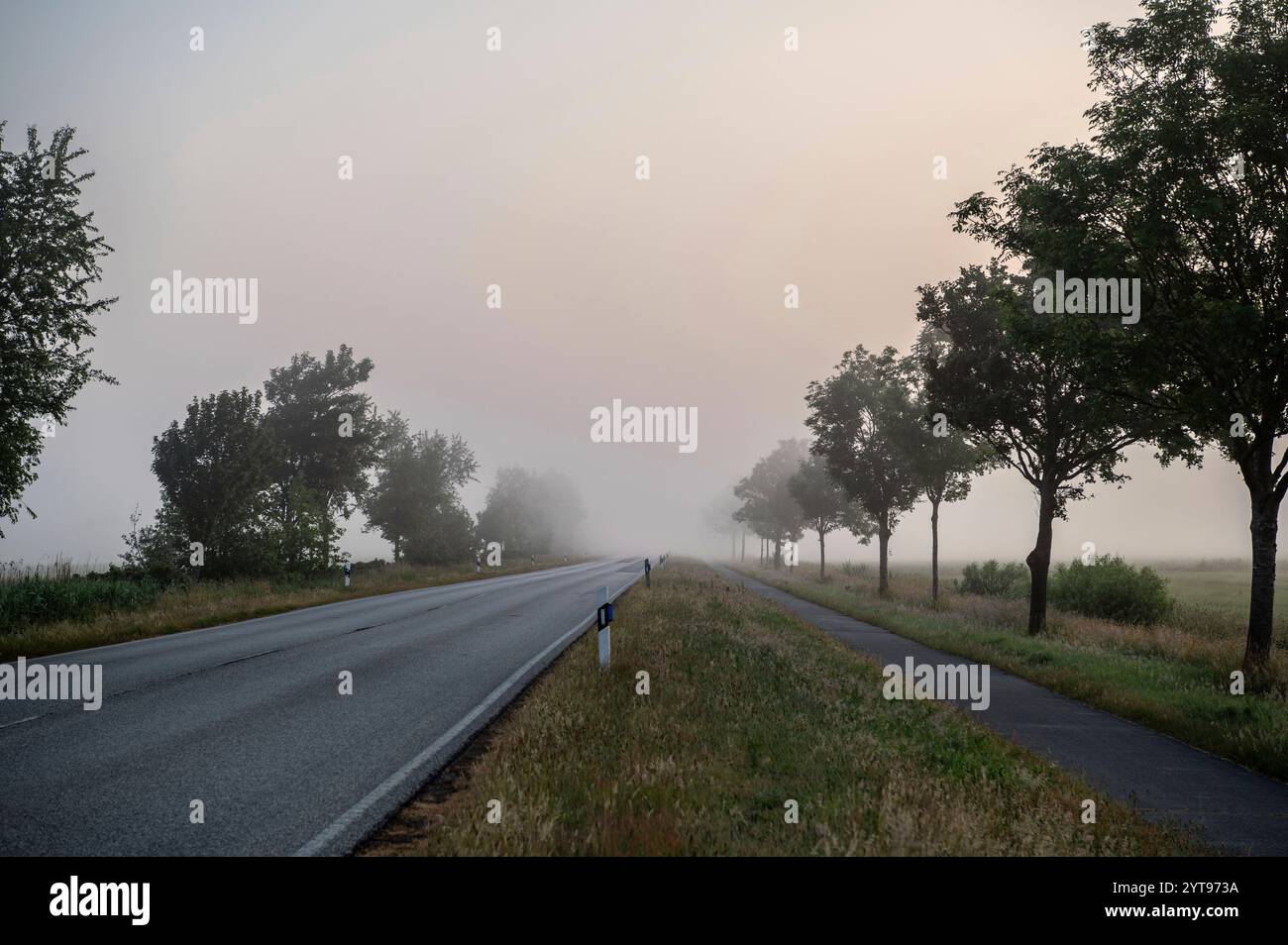 Ground fog on a country road Stock Photo - Alamy