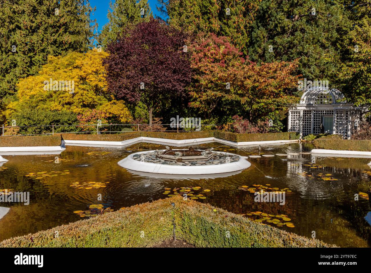 A pond with a fountain in the middle surrounded by trees. The pond is ...