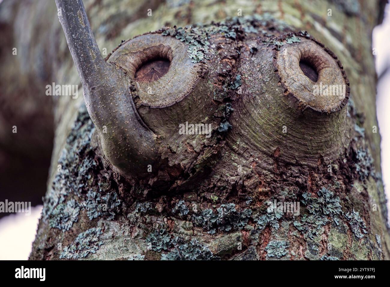 Interesting structures hi-res stock photography and images - Alamy