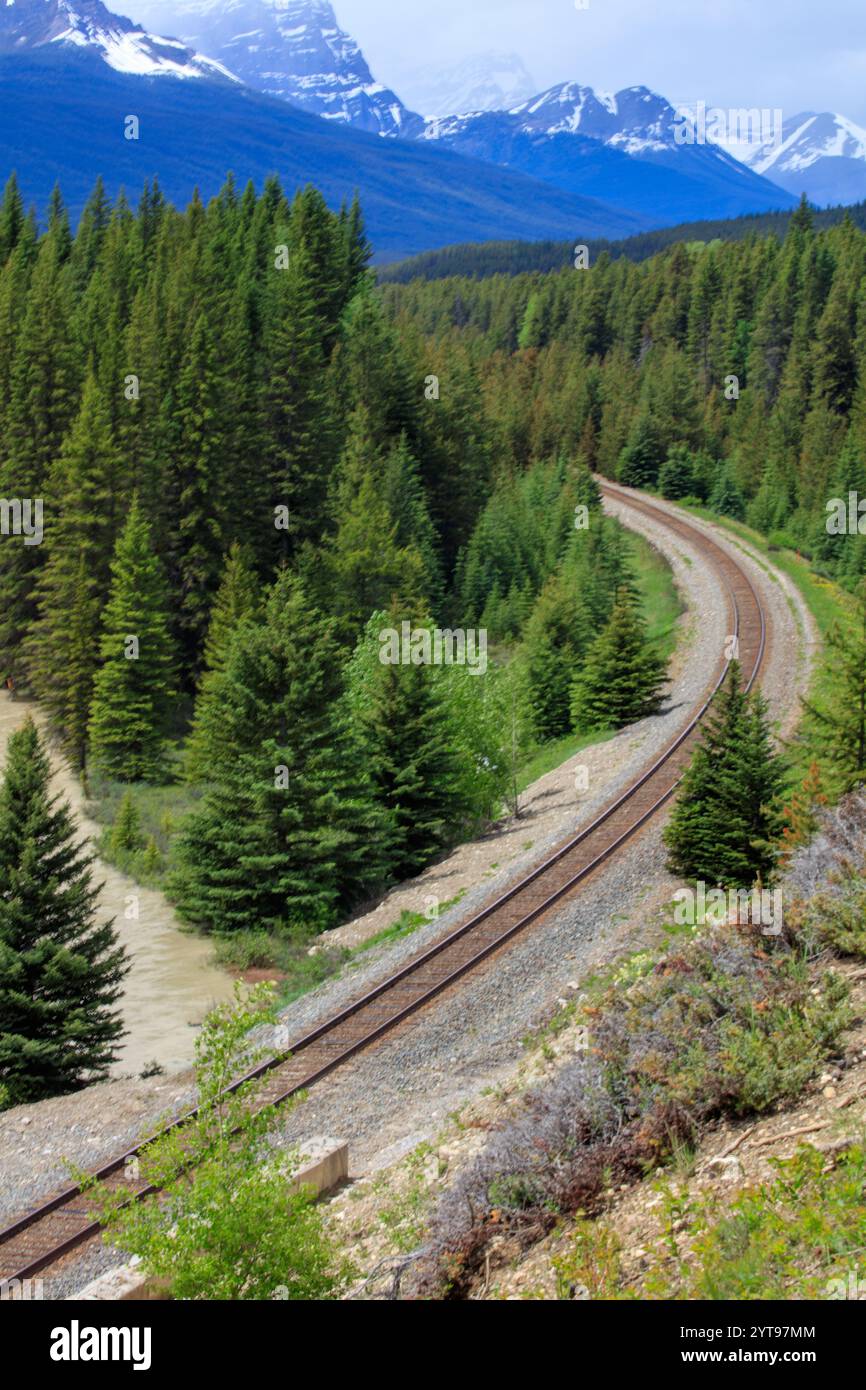 A train tracks run through a forest with mountains in the background ...