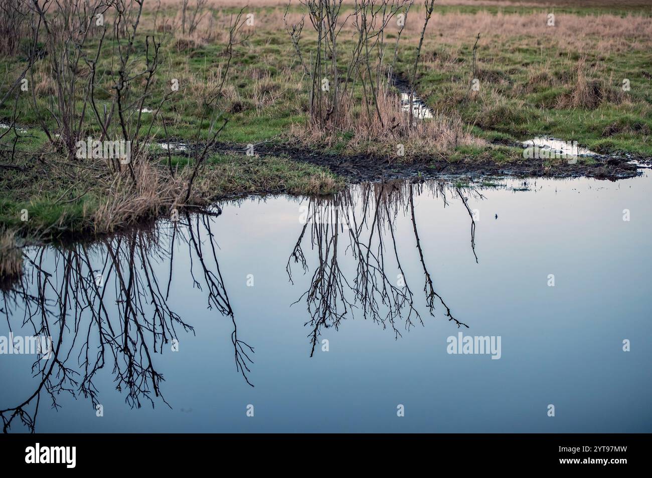 Reflection wet hi-res stock photography and images - Alamy