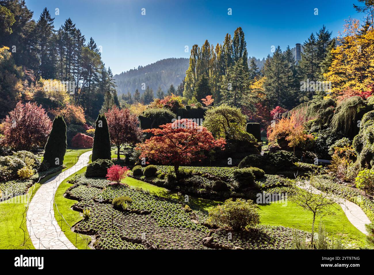 A beautiful garden with many trees and bushes. The trees are full of ...