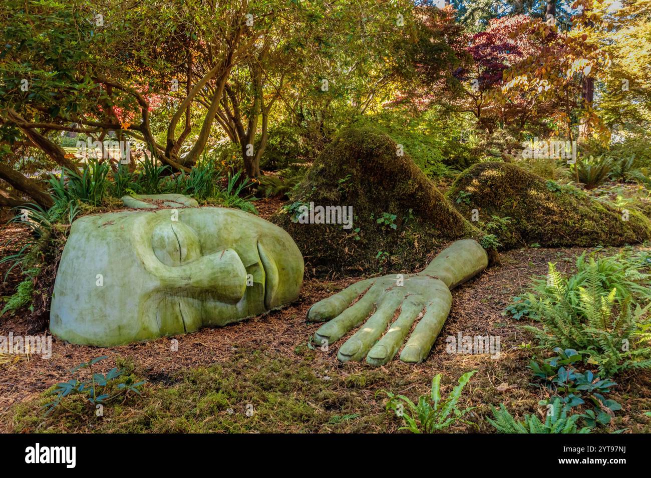 Hand culture garden ground hi-res stock photography and images - Alamy