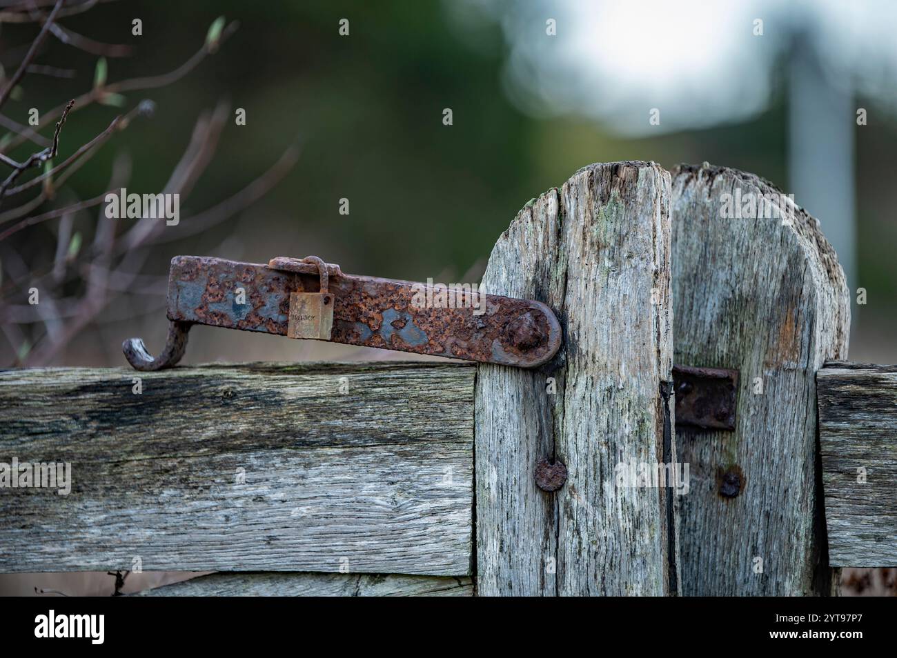Old rusty gate latch on a wooden gate Stock Photo - Alamy