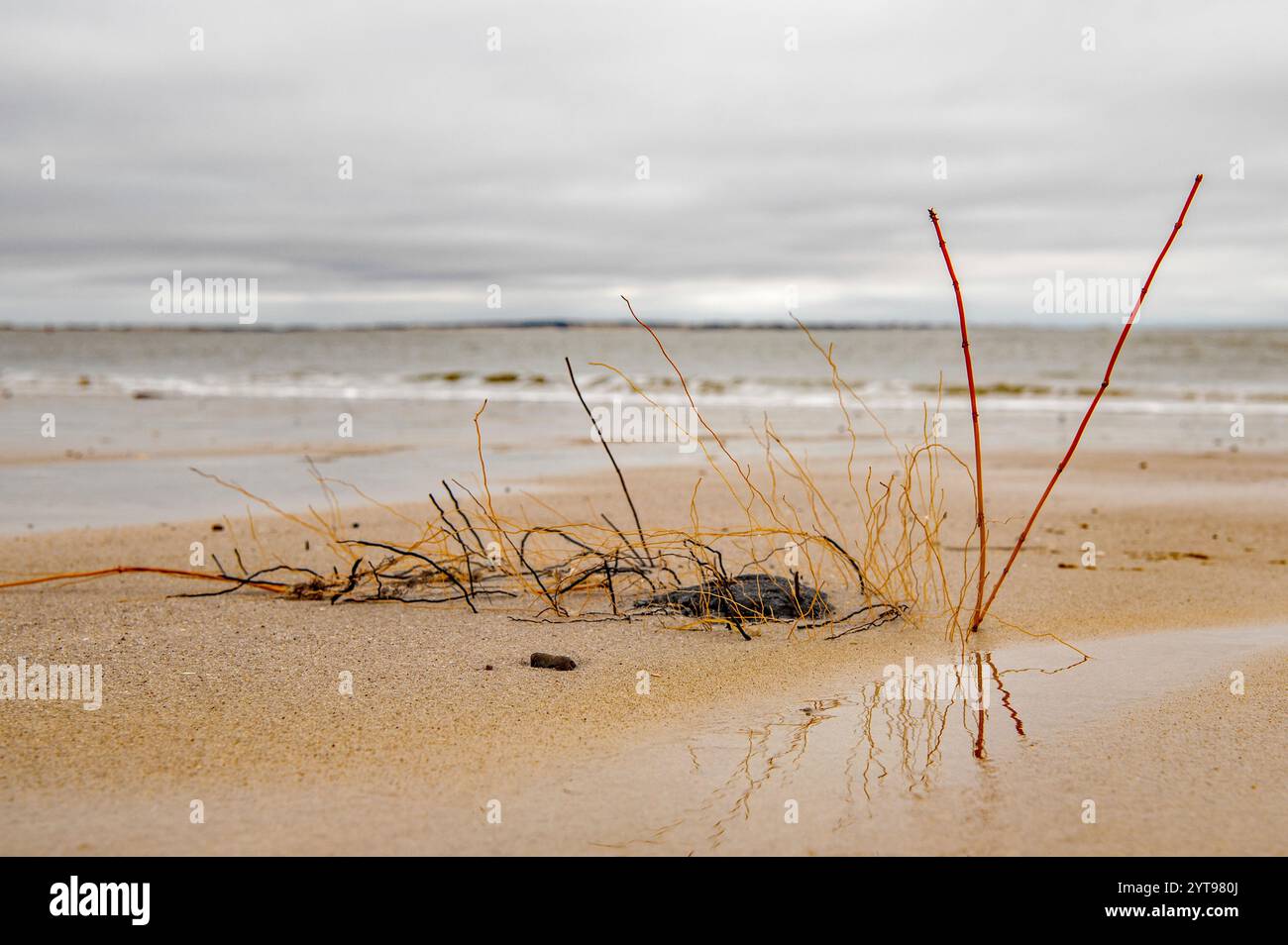 Flotsam and jetsam hi-res stock photography and images - Alamy