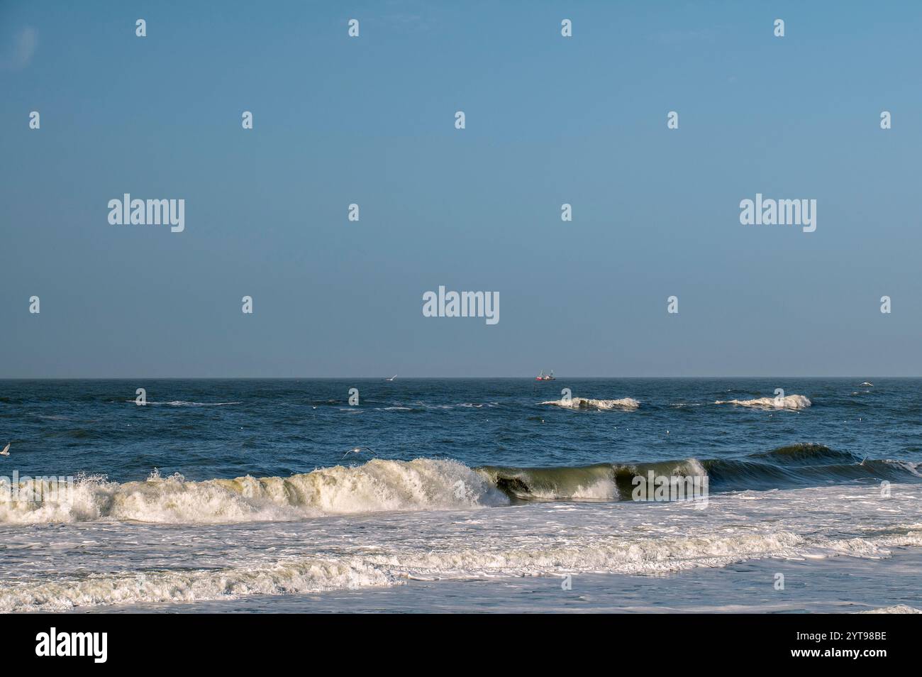 Surf on the coast of the North Sea Stock Photo - Alamy