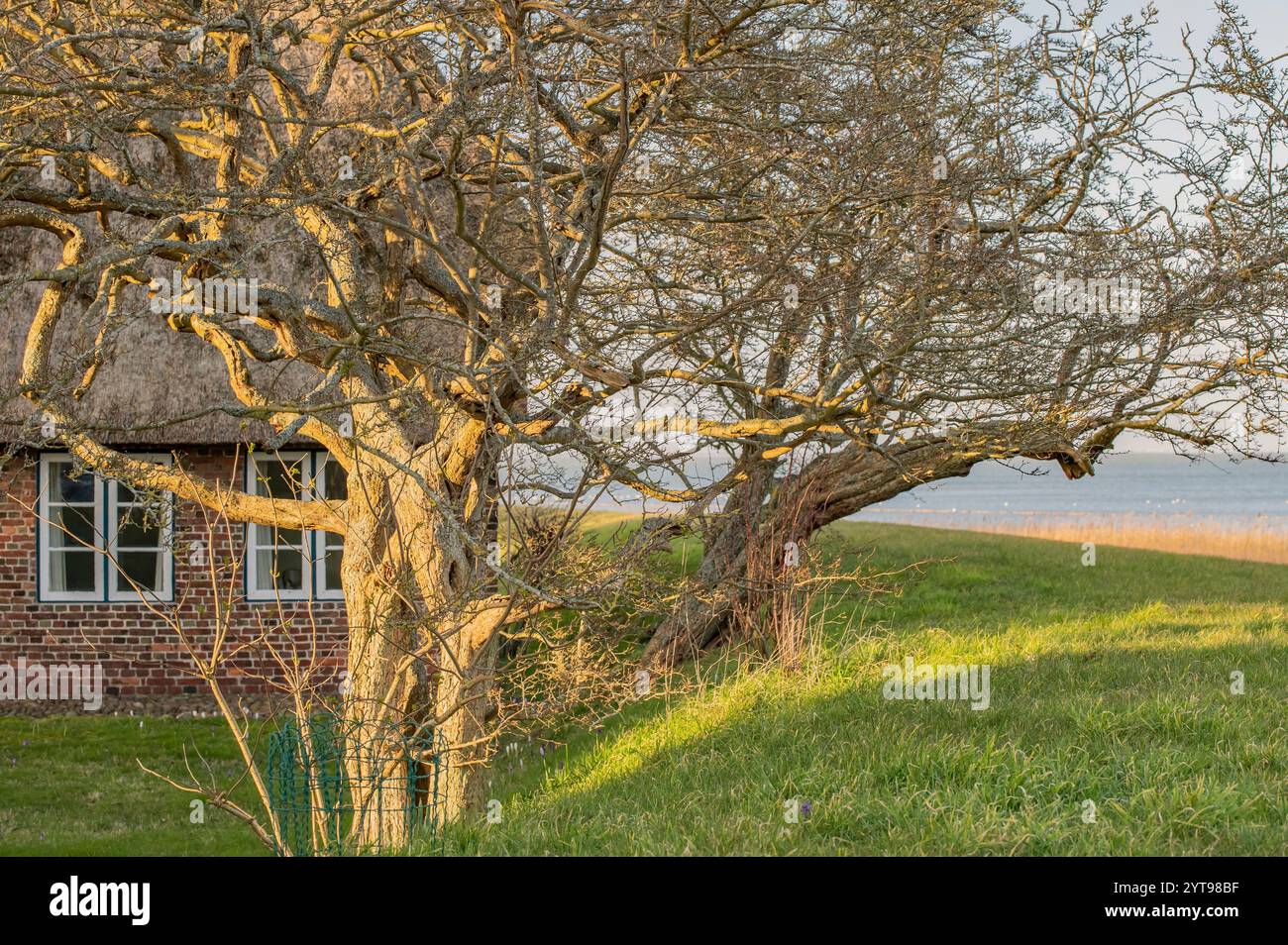 Living of the sea hi-res stock photography and images - Alamy