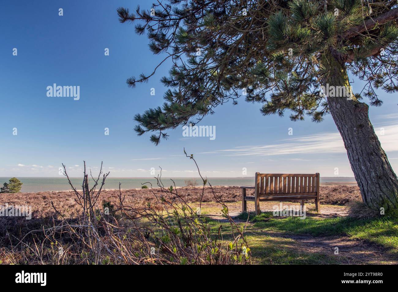 Shady spot with a view Stock Photo - Alamy