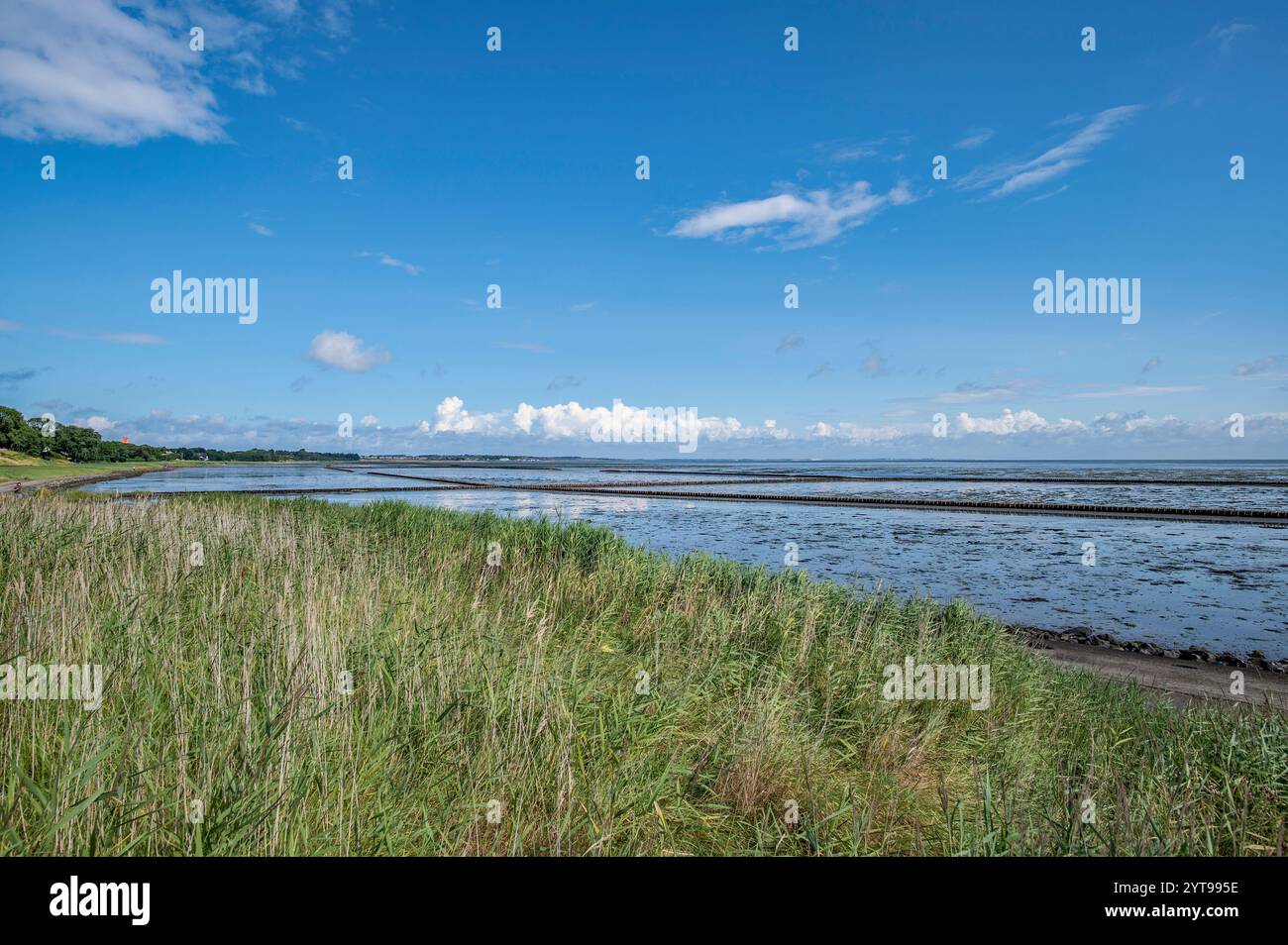 National park wadden sea off keitum on sylt hi-res stock photography ...