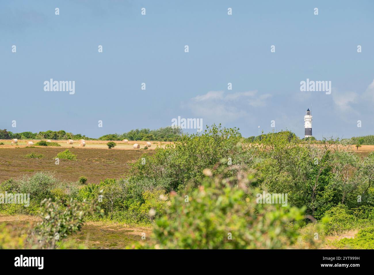 Braderuper Heide and Kampen lighthouse Stock Photo - Alamy