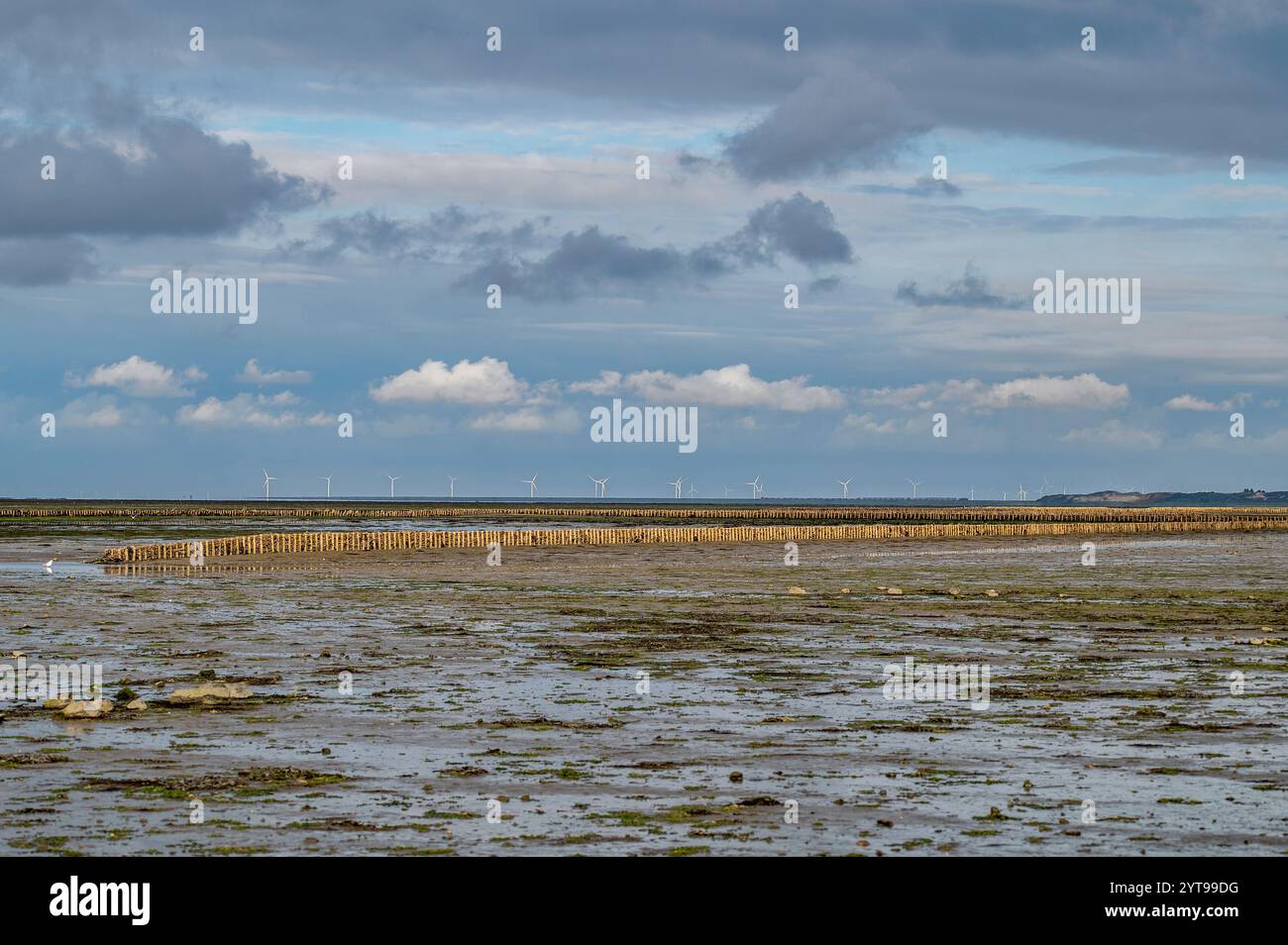 Wind farm at the Wadden Sea National Park Stock Photo - Alamy