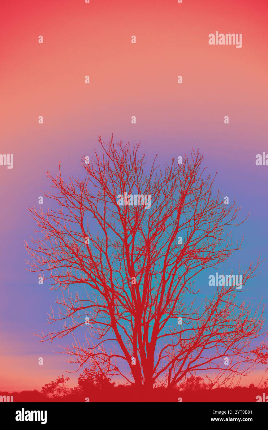 Filigree art hi-res stock photography and images - Alamy