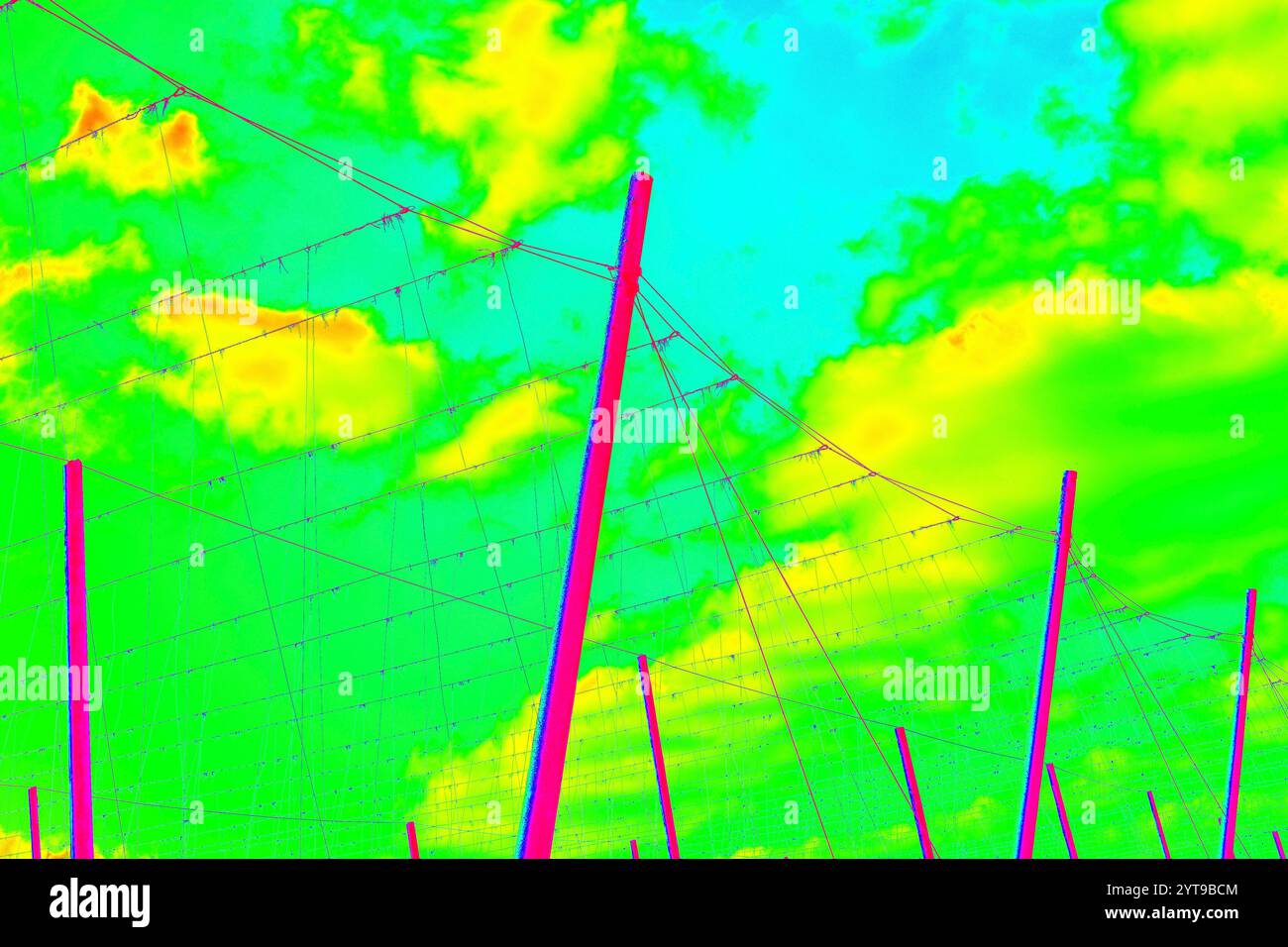 Pop Art - Hop garden Stock Photo - Alamy