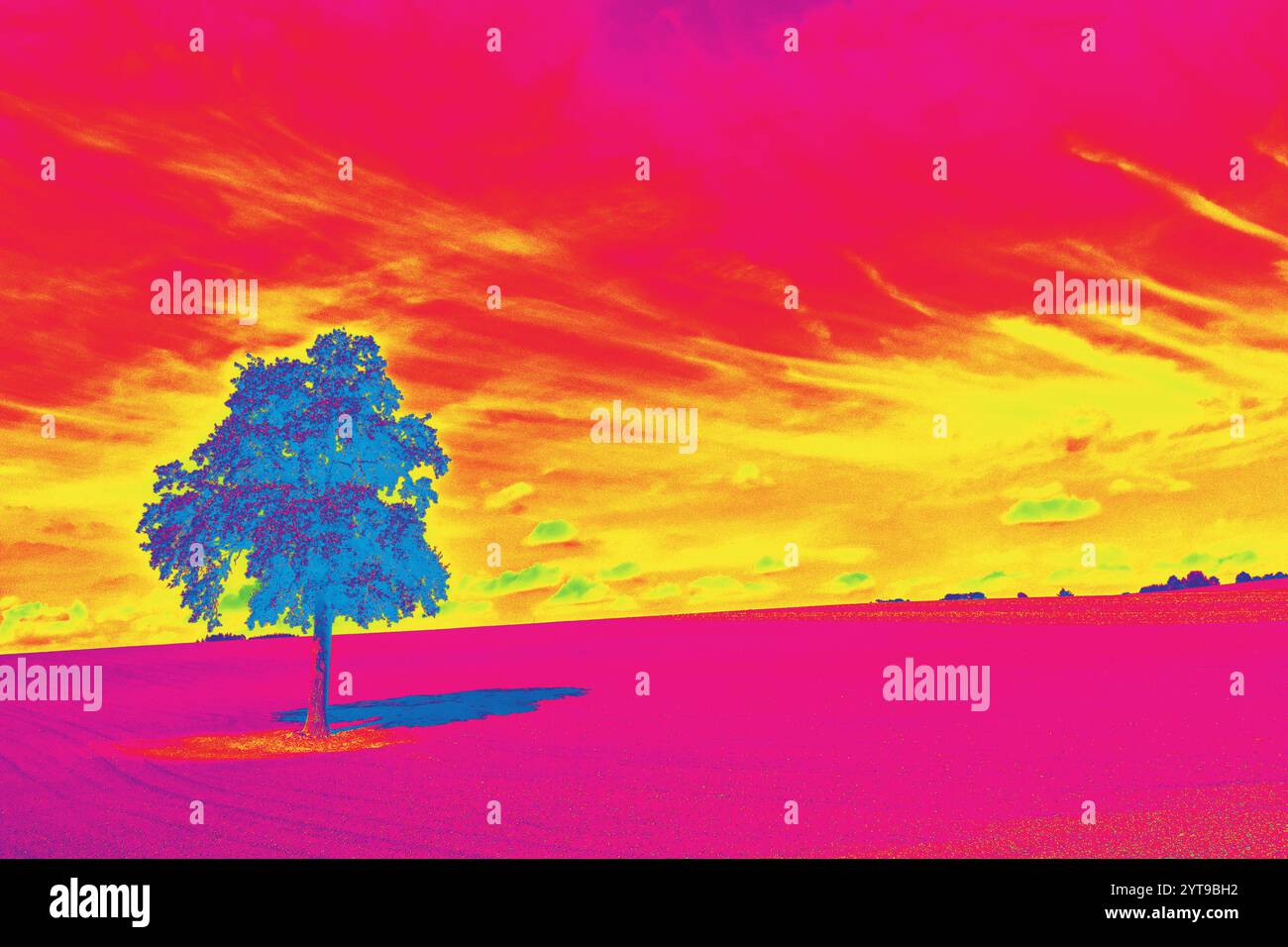 Pop Art - The blue tree Stock Photo - Alamy