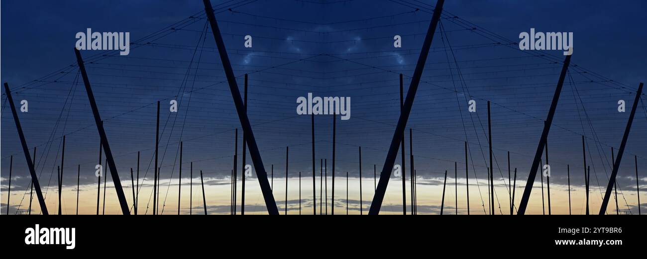 Hop pole panorama Stock Photo - Alamy